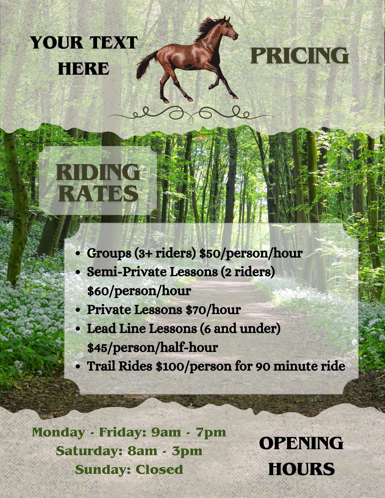Horse Riding Flyer, Horse Riding Lessons Template, Horse Canva Template ...