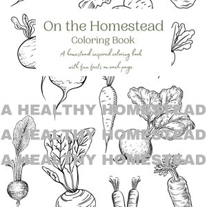 Homestead Coloring Book digital - Etsy