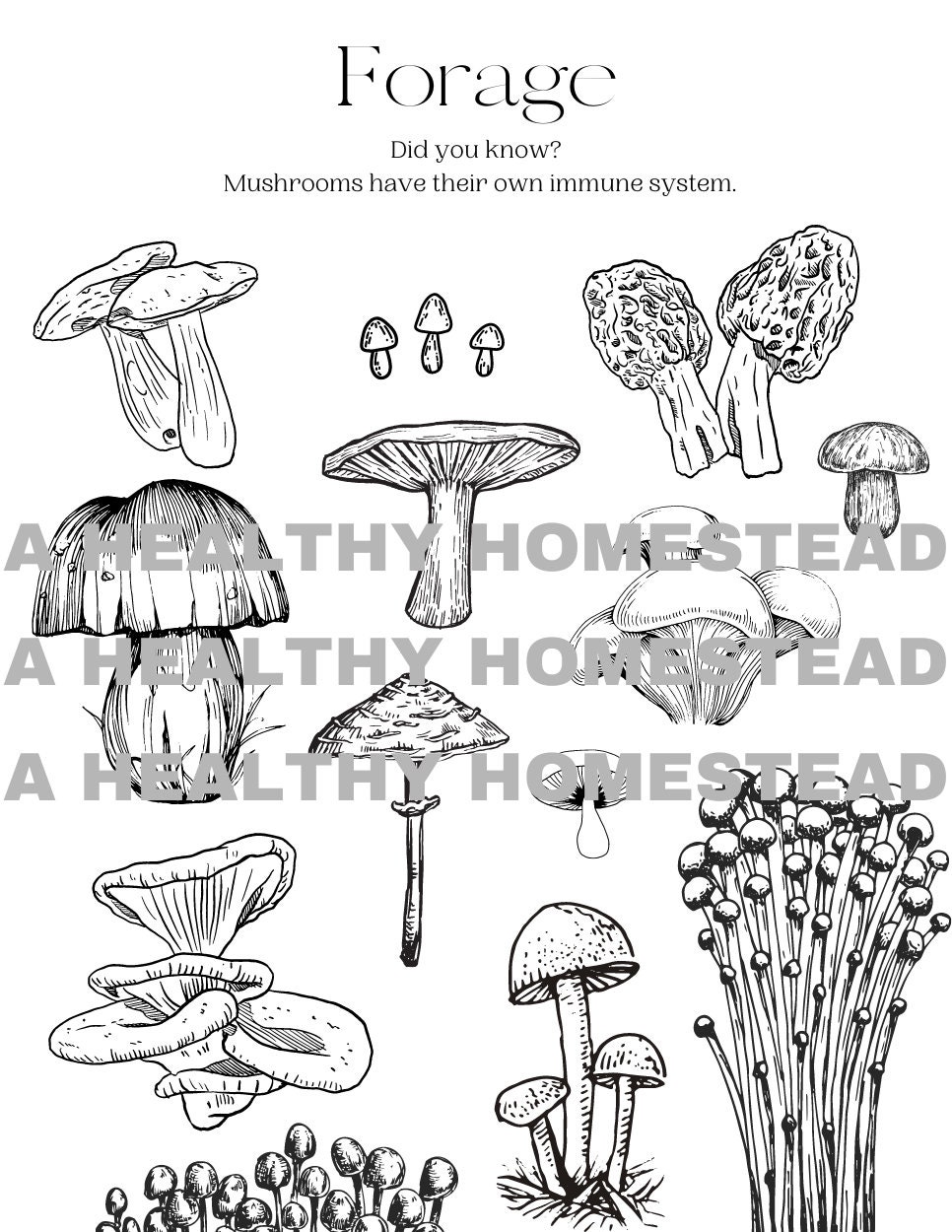 Homestead Coloring Book (digital) - Etsy