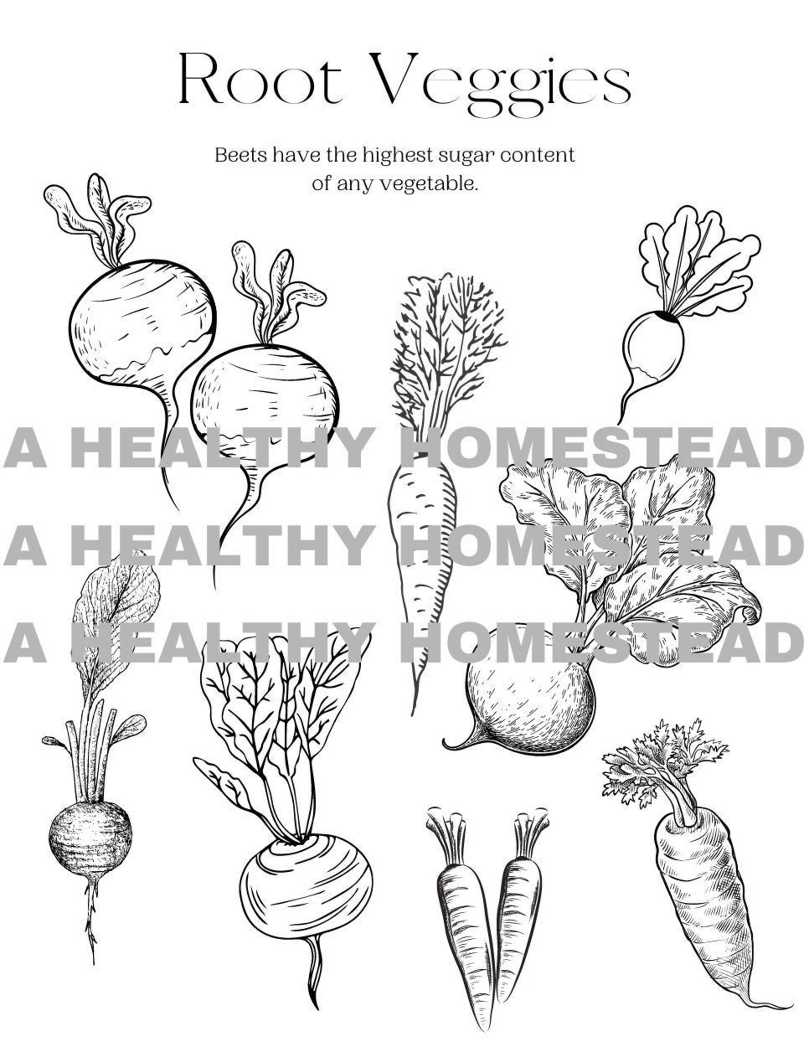 Homestead Coloring Book digital - Etsy