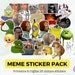 Printable Meme Sticker Pack | Digital Sticker | PDF, PNG | Funny Mood ...