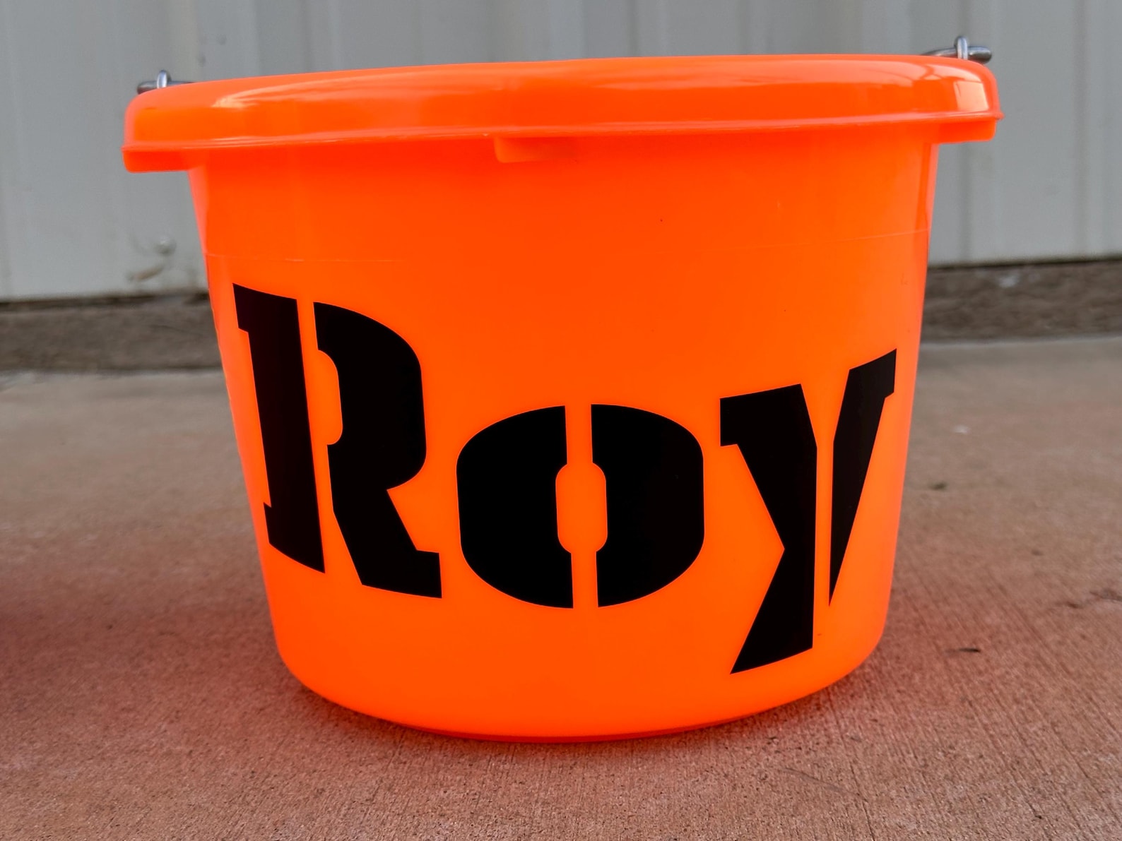 Personalized Horse Bucket Decal - Etsy