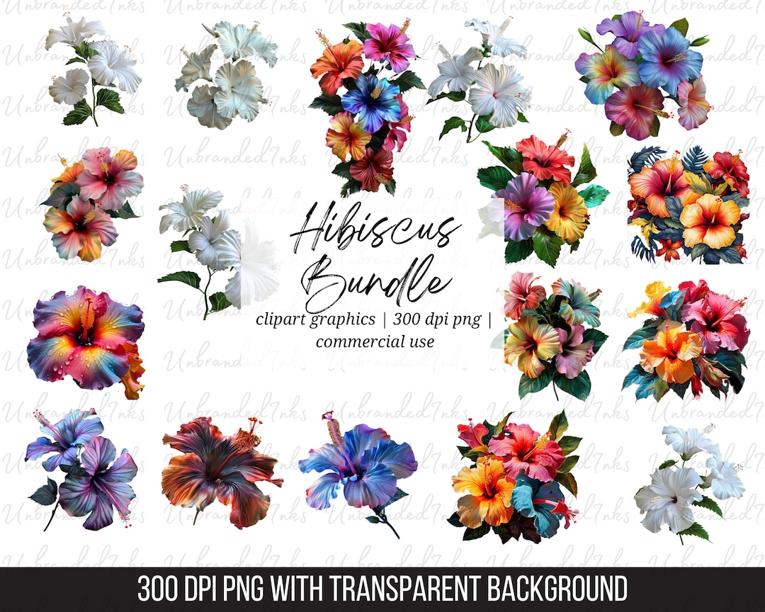 Hibiscus Bundle PNG Clipart Images Instant Digital Download Exotic ...