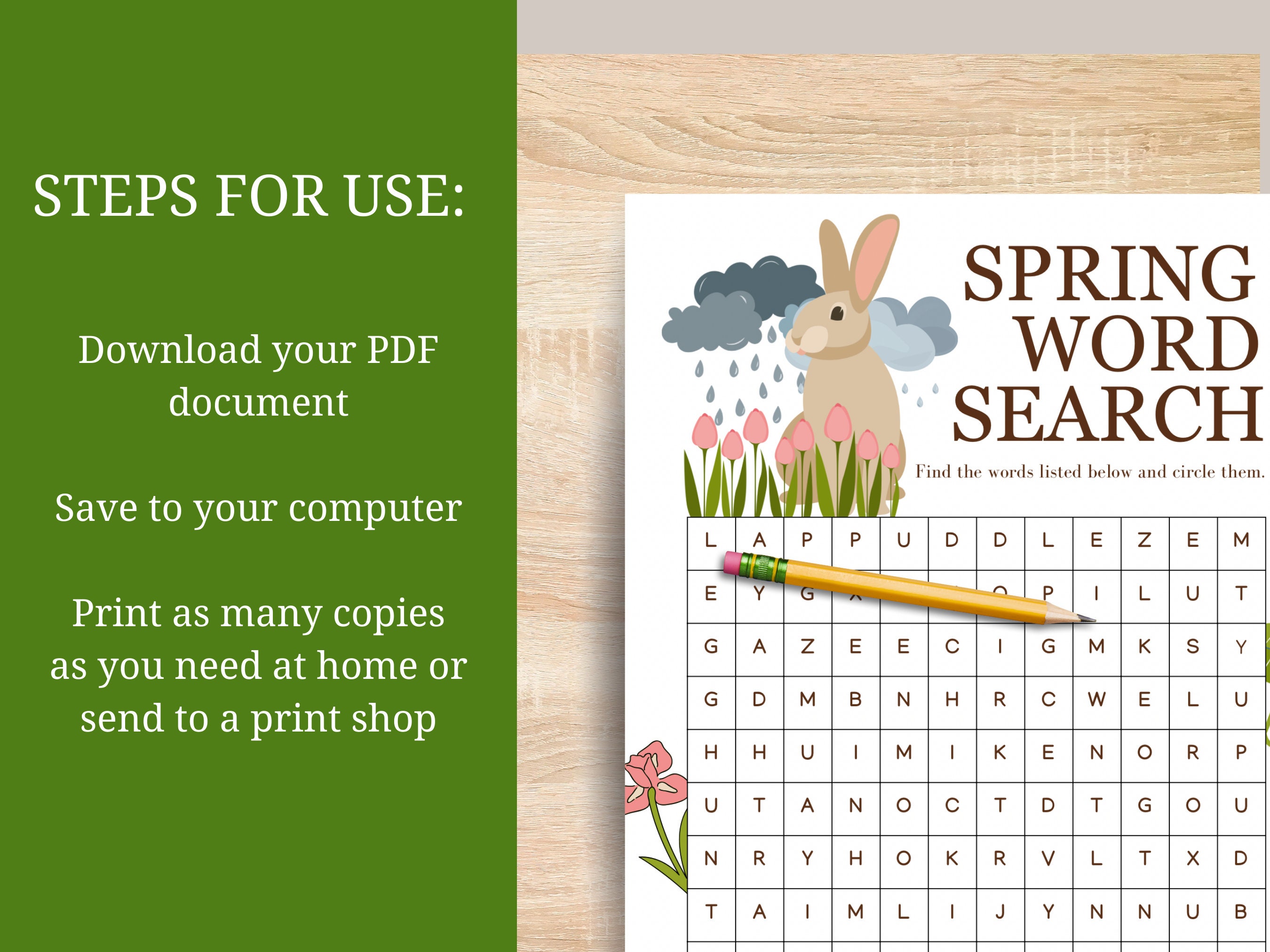 Spring Word Search Season Vocabulary Spring Classroom Word - Etsy