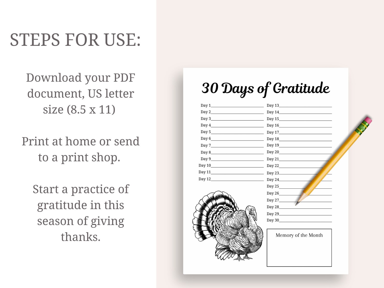 Thanksgiving Month of Gratitude Printable Journal Page, 30 Days of ...