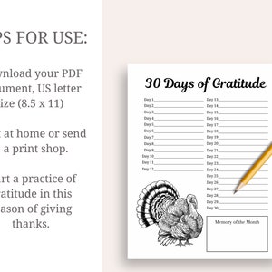 Thanksgiving Month of Gratitude Printable Journal Page, 30 Days of ...