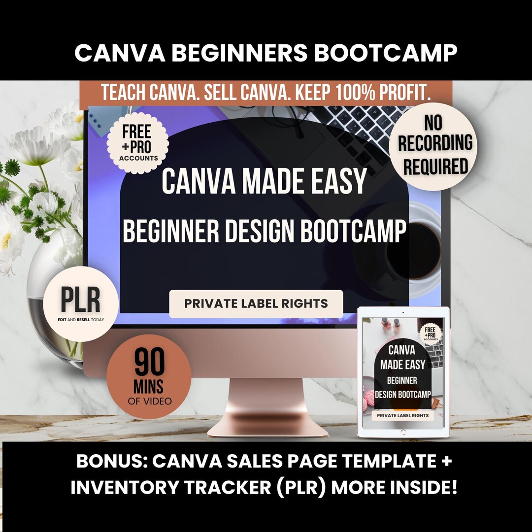 Canva Crash Course With PLR Rights Editable Video Training Workbook ...