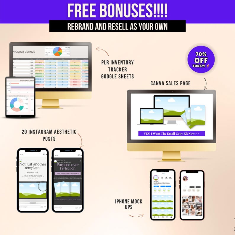 Ready-to-resell Canva Course PLR for Sellers, Done-for-you Training ...