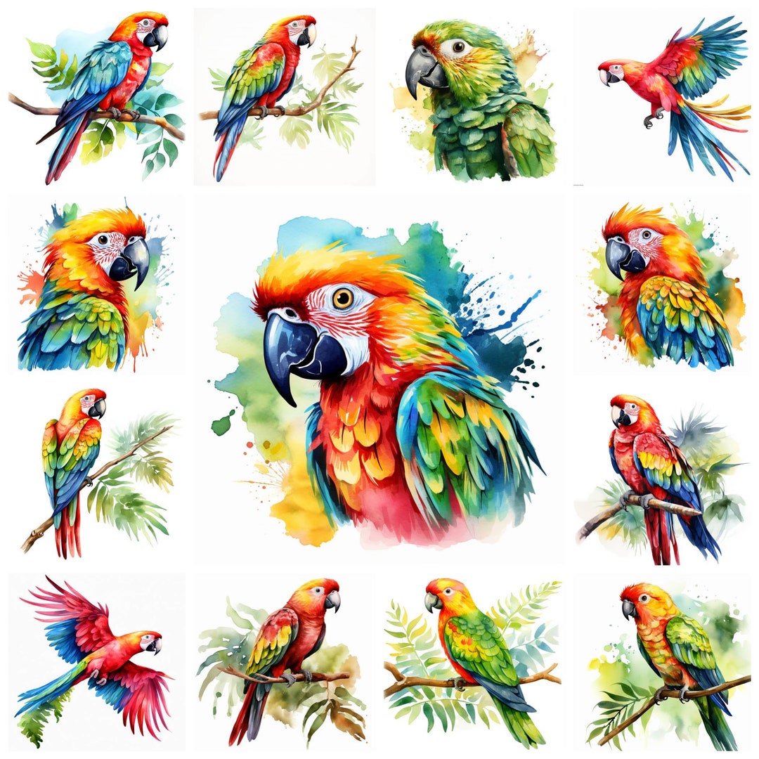 31 Colorful Parrot PNG Clipart, Watercolor Exotic Rainbow Parrot ...