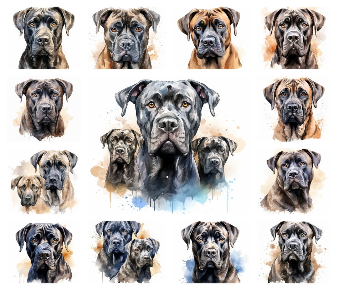 25 Cane Corsos Dog Clipart , High Quality Watercolor Dog PNG Bundle ...