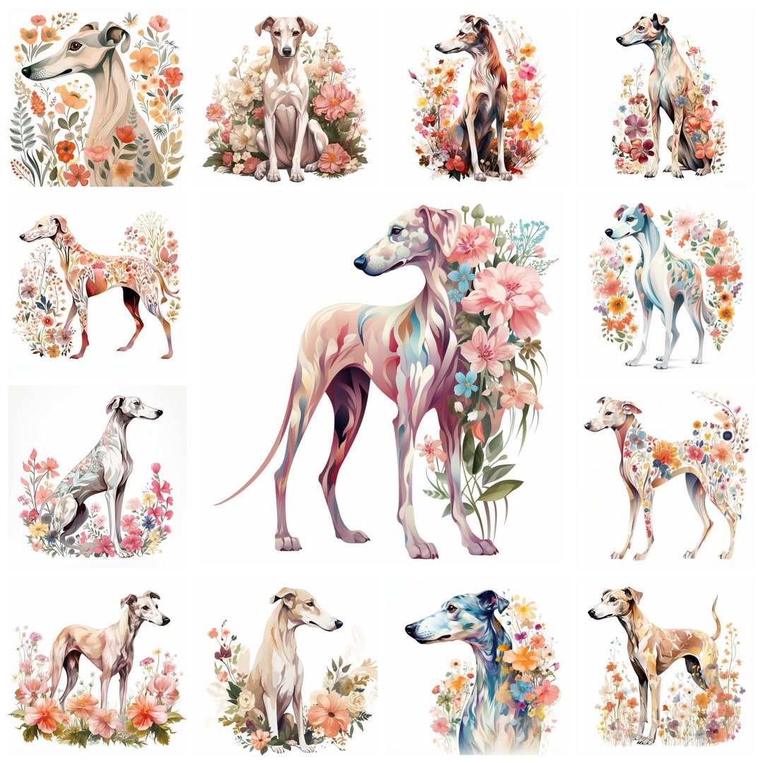 35 Floral Greyhound Dog Clipart, Watercolor the Champion Sprinter of ...