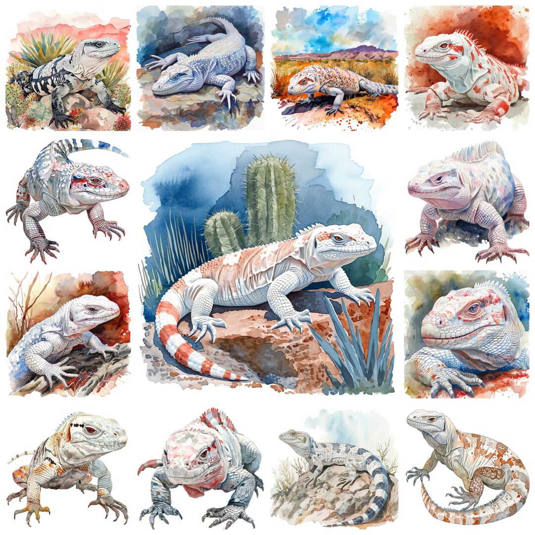 24 Albino Argentinian Tegu PNG Clipart, Watercolor Argentinian Tegu ...