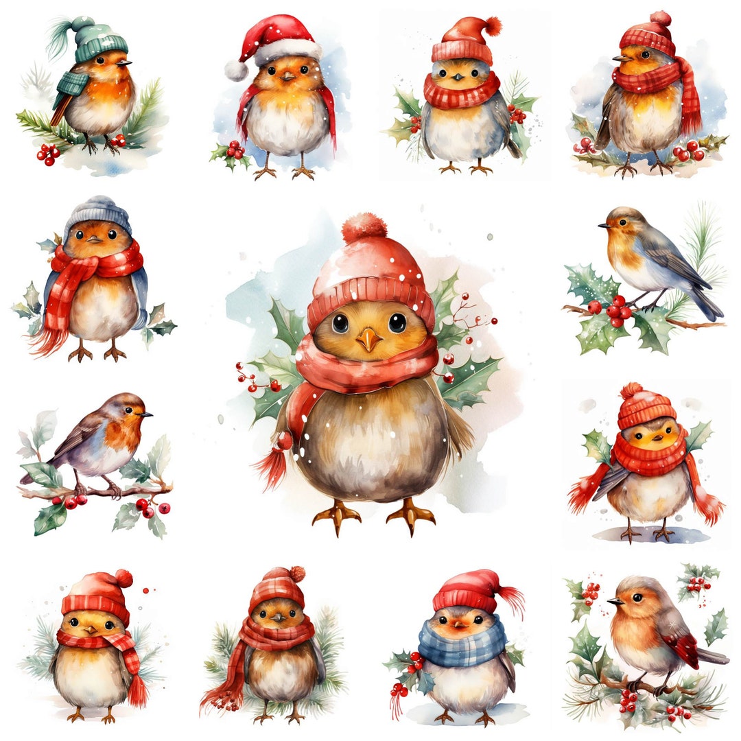 37 Christmas Robin Bird PNG Clipart, Watercolor Christmas Robin Bird ...
