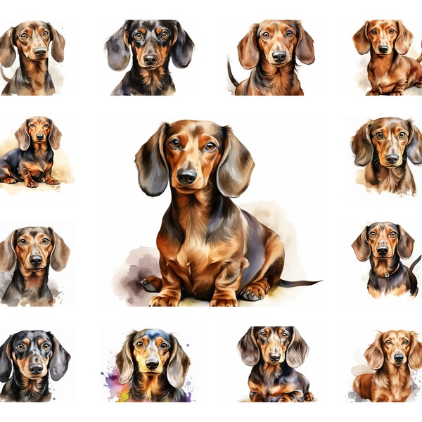 Dachshund Clipart - Etsy