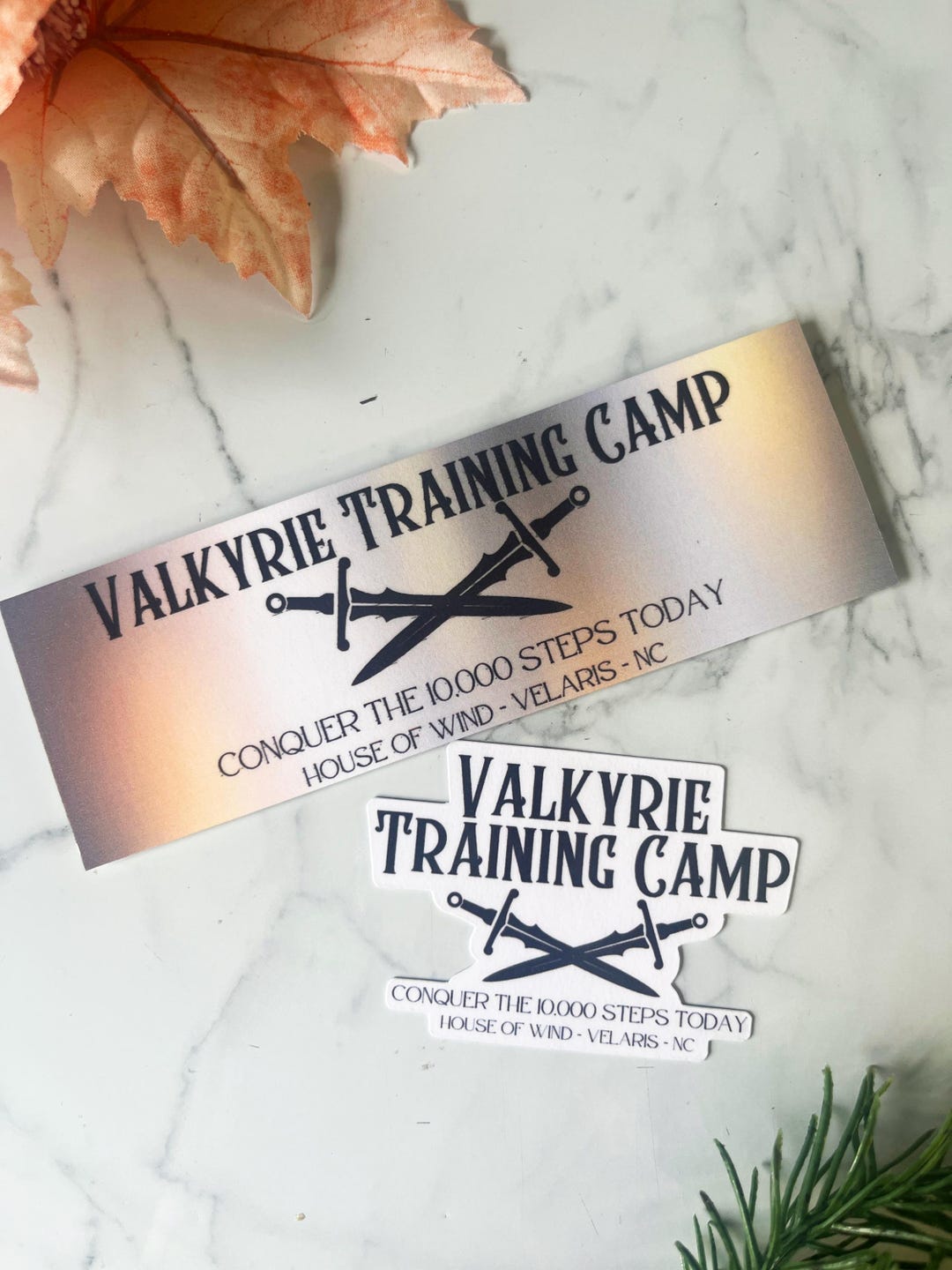 Valkyrie Training Camp Bookmark & Sticker Set | Officially Licensed ...