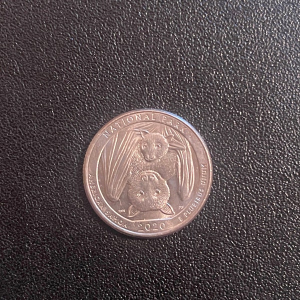 2020 Quarter Errors - Etsy