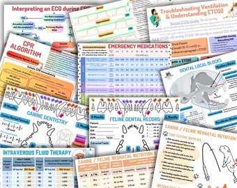 Printable Veterinary ETCO2 Capnography Guide - Etsy