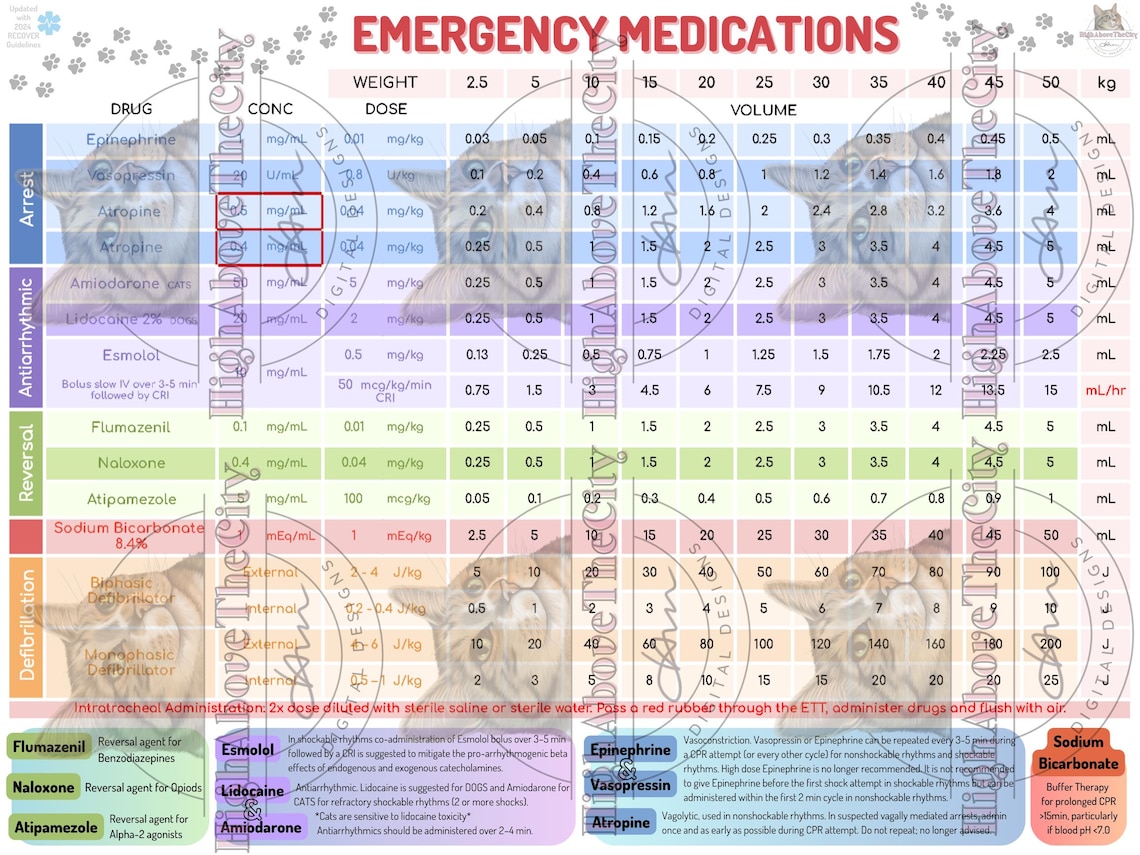 Printable Veterinary Emergency Medication and CPR Guide (updated 2024 ...
