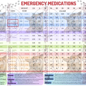 Printable Veterinary Emergency Medication and CPR Guide (updated 2024 ...