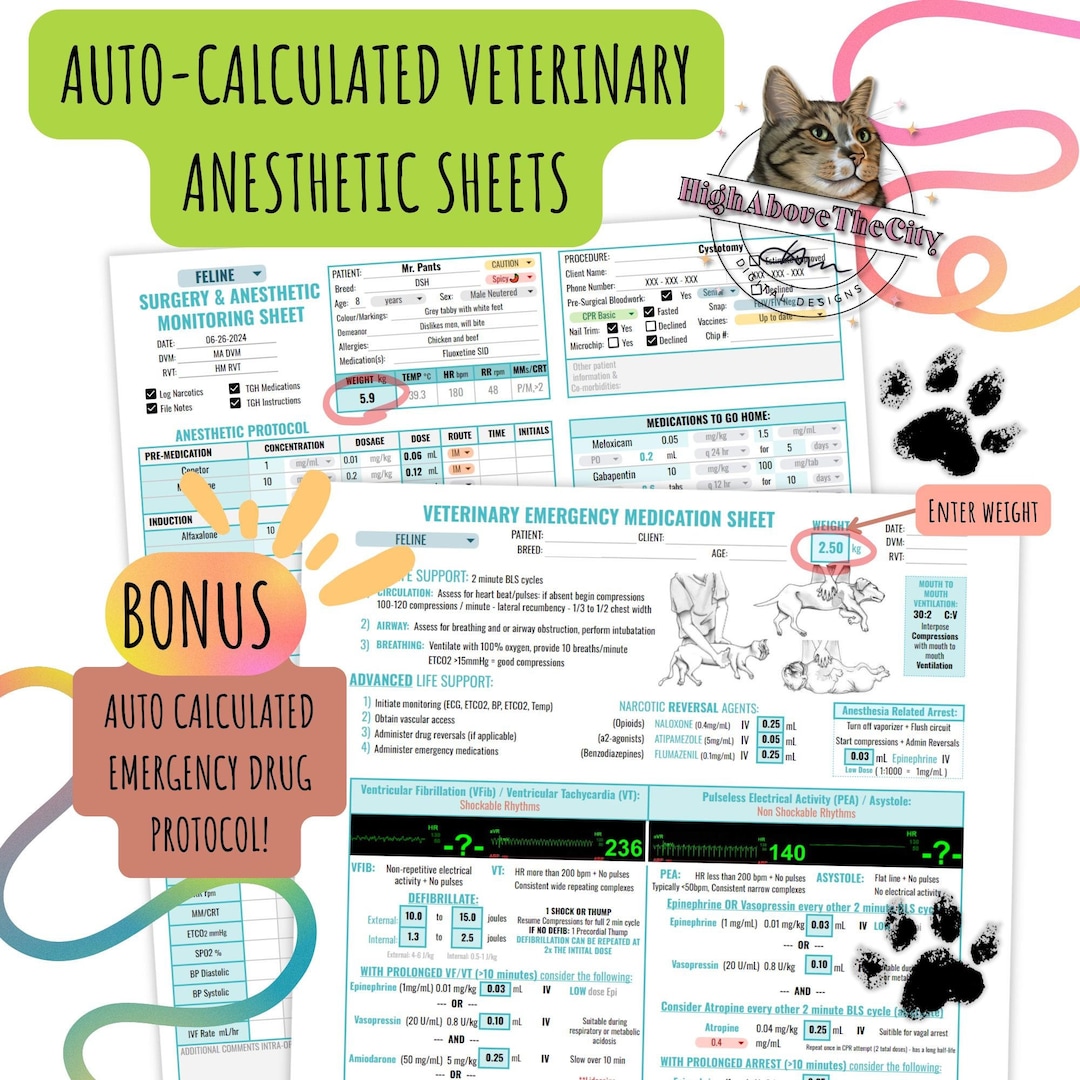 Veterinary Anesthesia Excel/google Sheets Emergency Drug Protocol ...