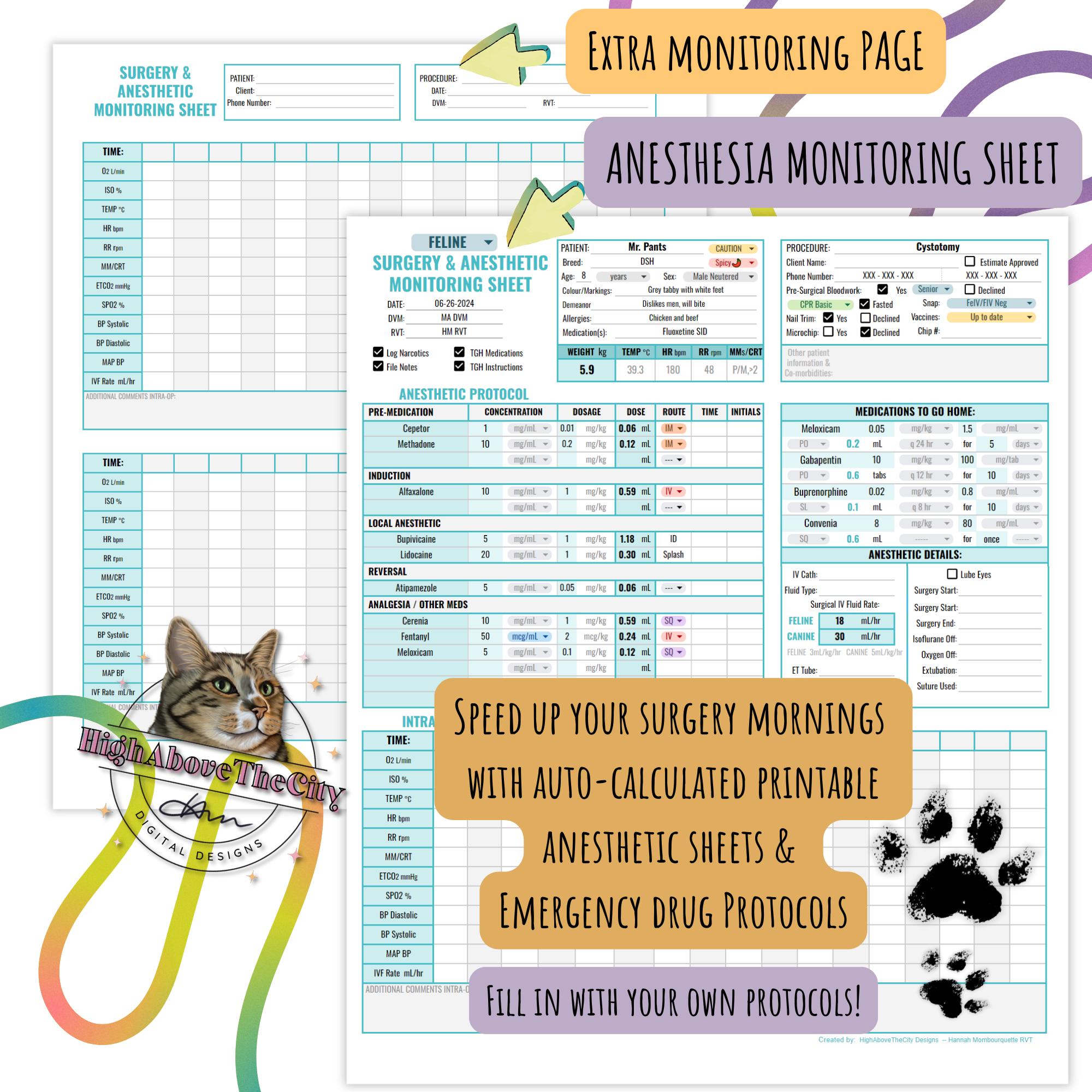 MAKE YOUR OWN - Veterinary Anesthesia Protocol: Auto-calculated Excel ...