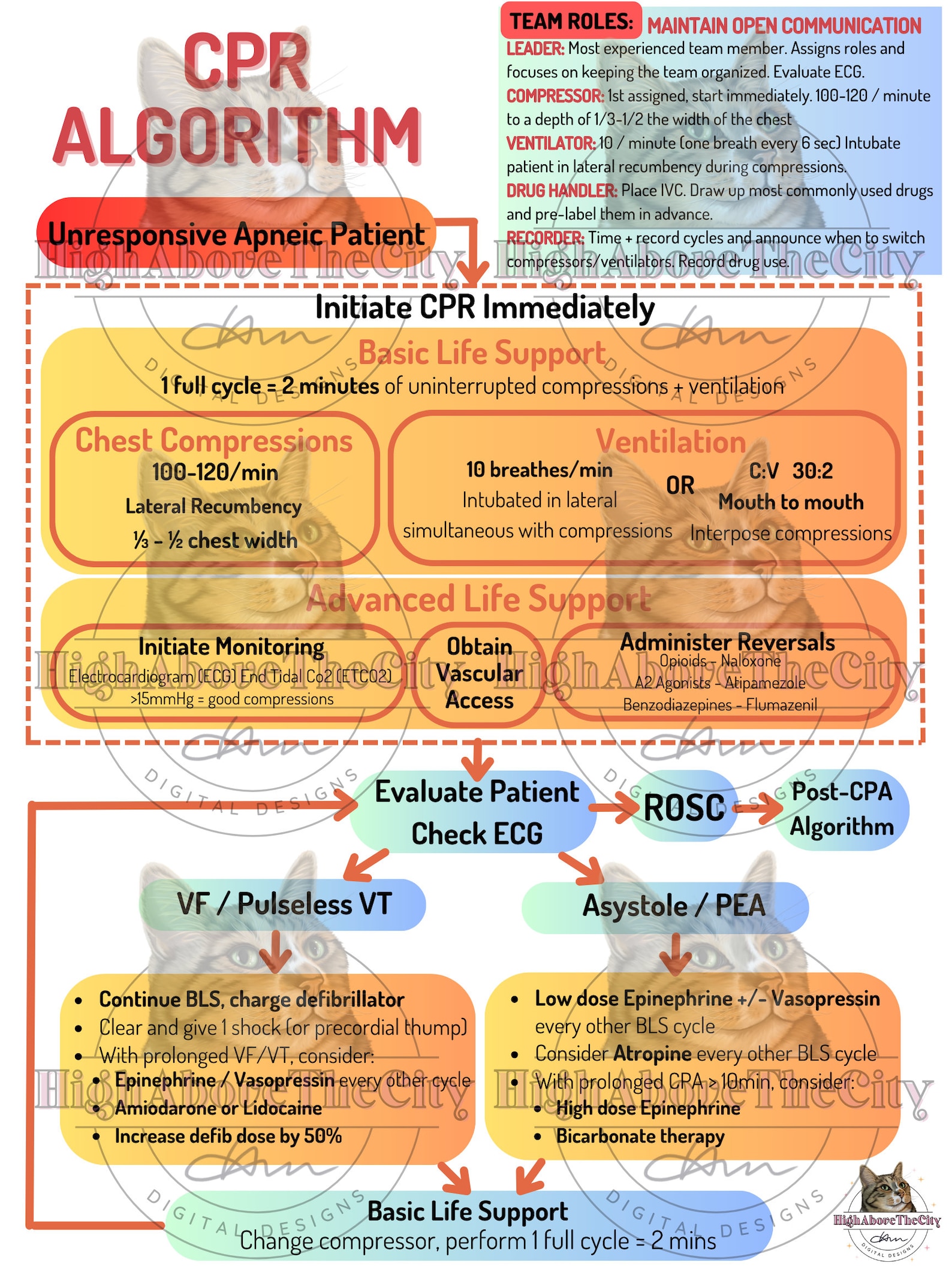 Printable Veterinary Emergency Medication and CPR Guide - Etsy