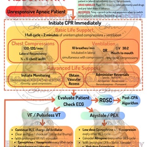 Printable Veterinary Emergency Medication and CPR Guide - Etsy
