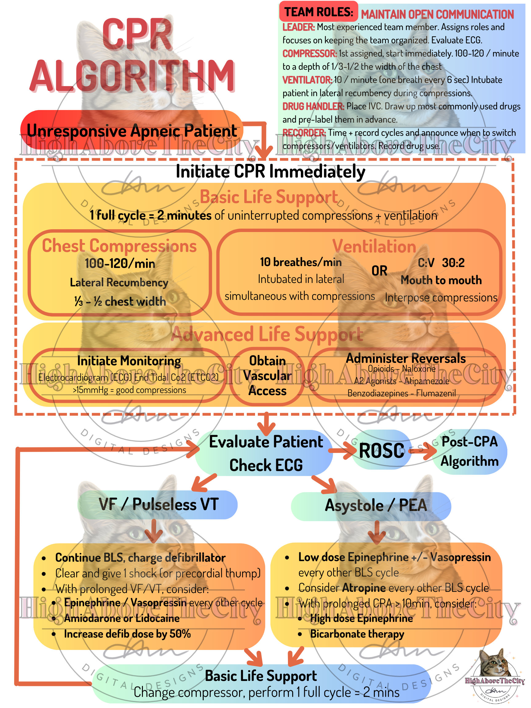 Printable Veterinary Emergency Medication and CPR Guide - Etsy