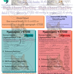 Printable Veterinary ETCO2 Capnography Guide - Etsy Canada
