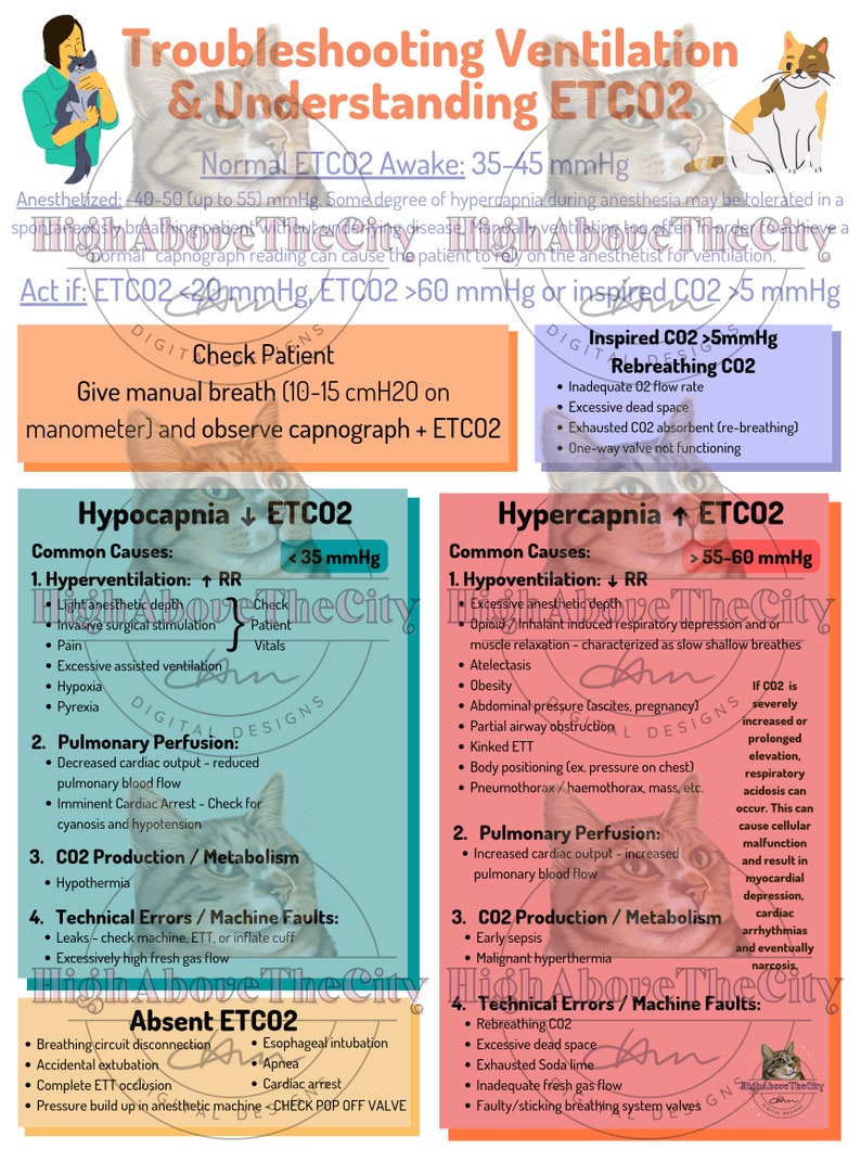 Printable Veterinary ETCO2 Capnography Guide - Etsy