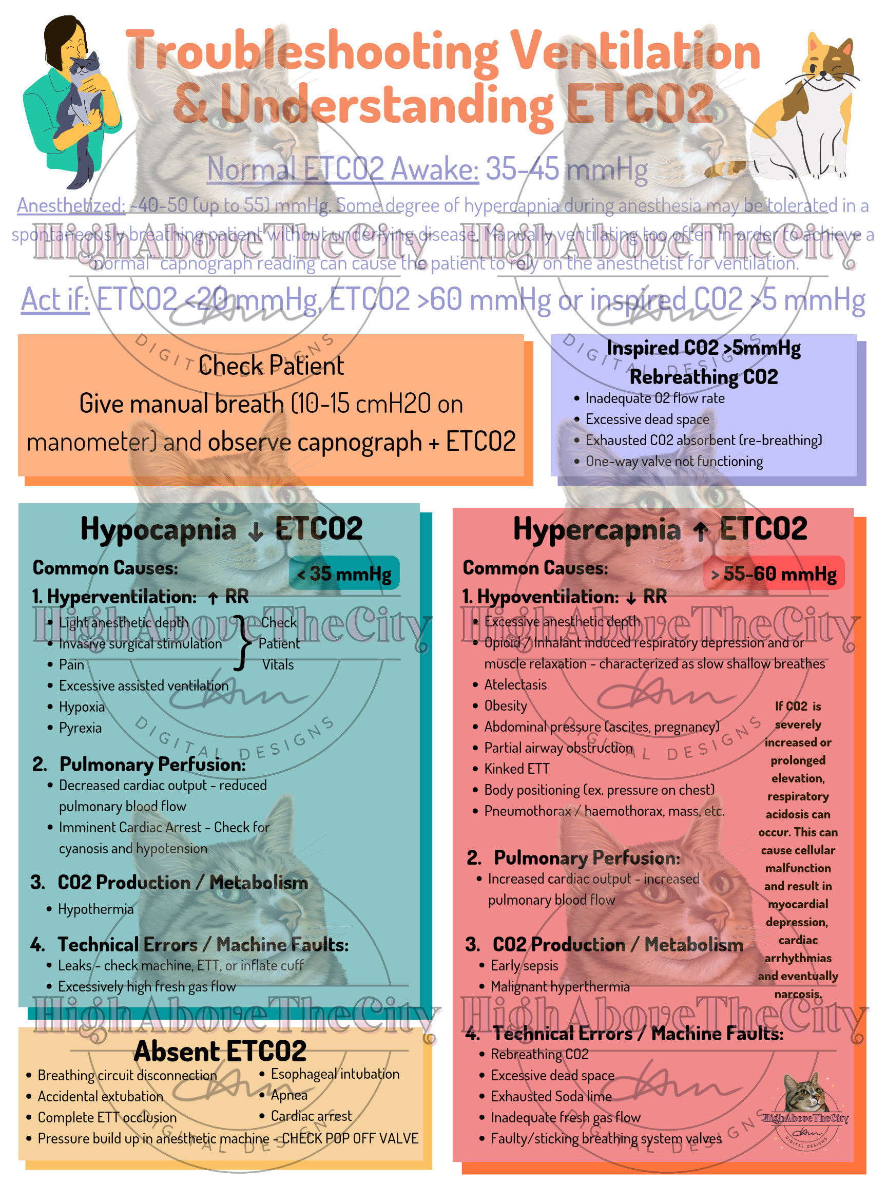 Printable Veterinary ETCO2 Capnography Guide - Etsy Canada