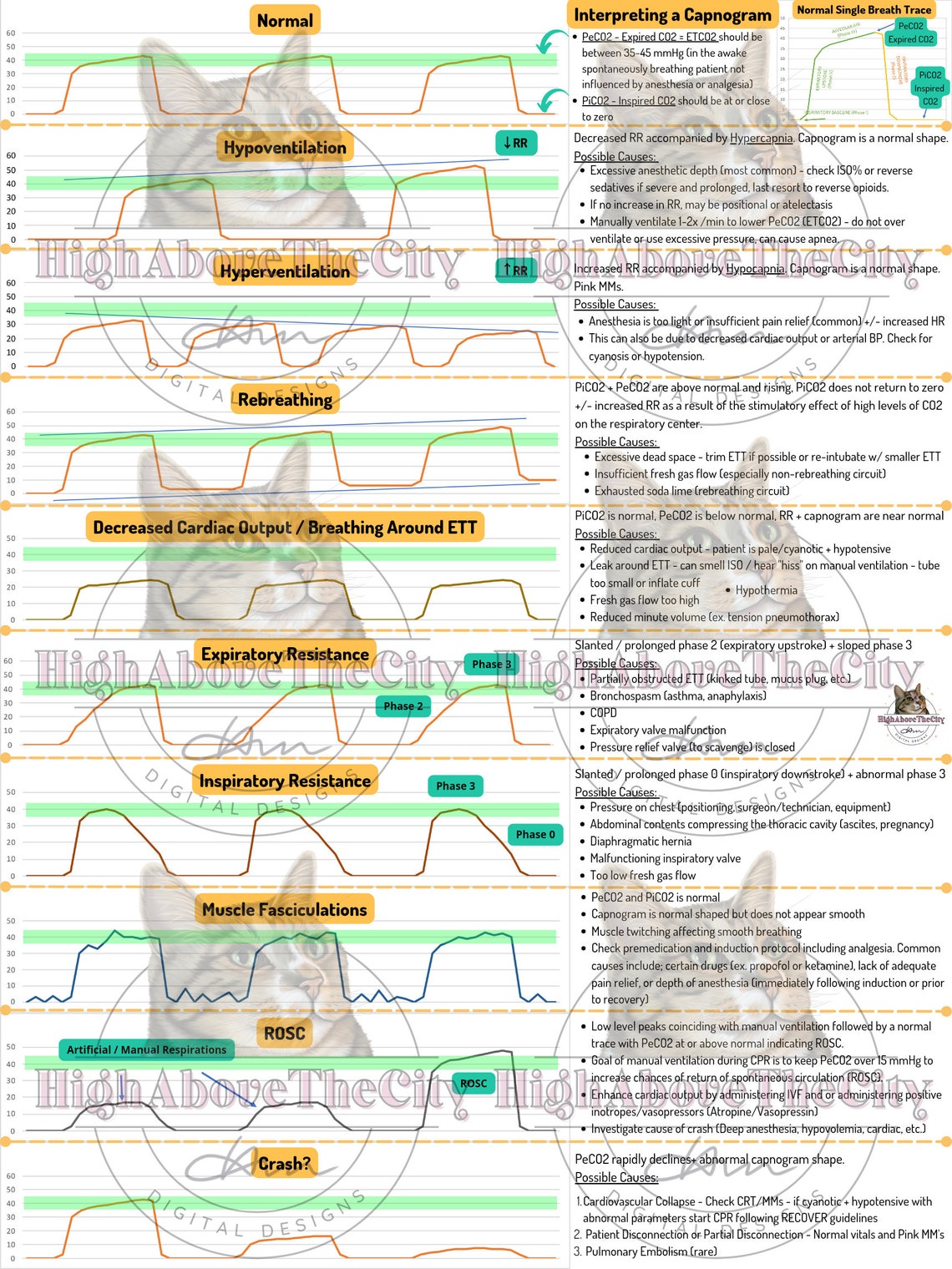 Printable Veterinary ETCO2 Capnography Guide - Etsy Canada
