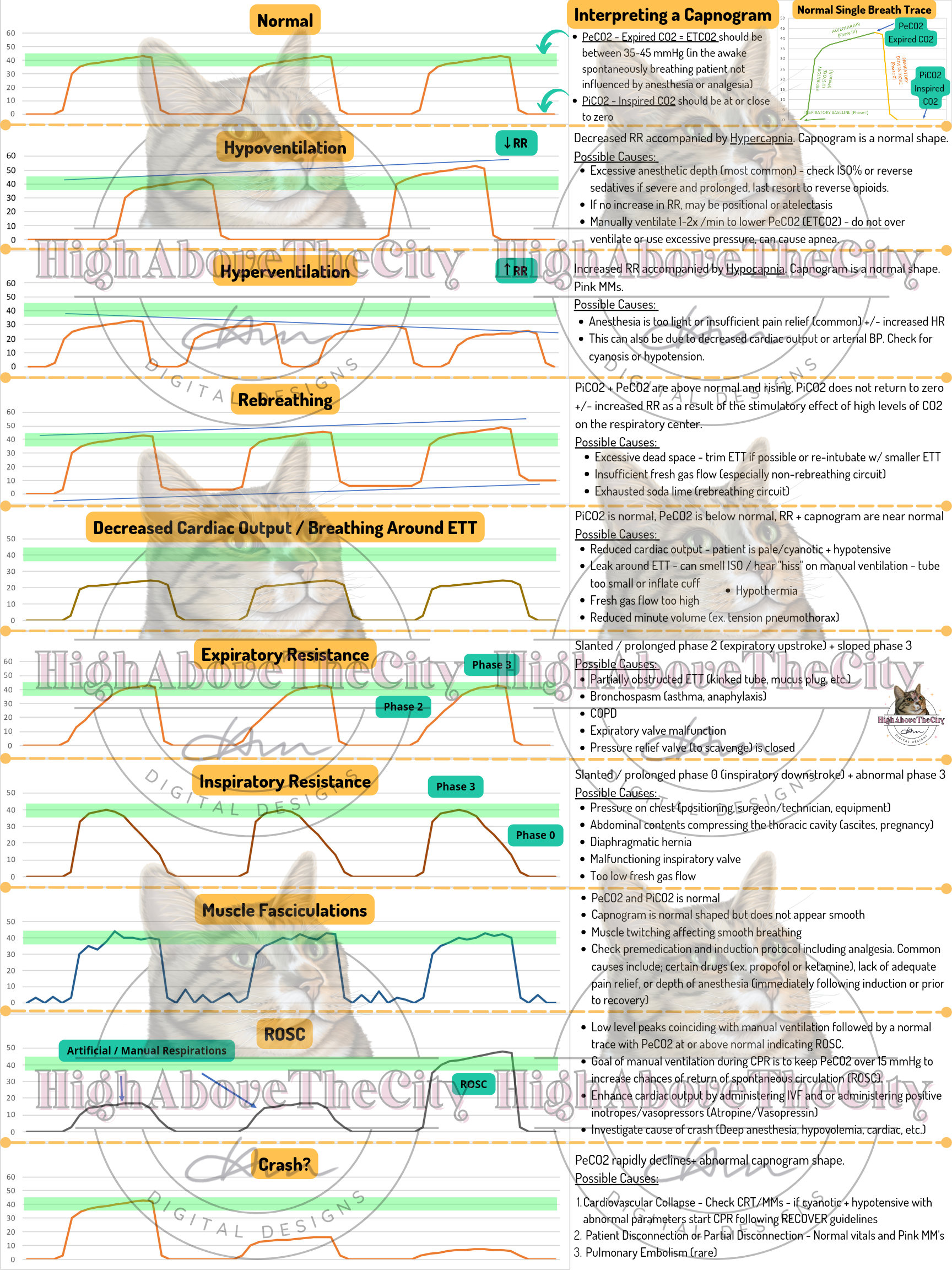 Printable Veterinary ETCO2 Capnography Guide - Etsy Canada