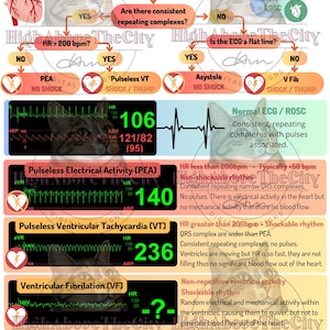 Printable Veterinary Emergency Medication and CPR Guide (updated 2024 ...