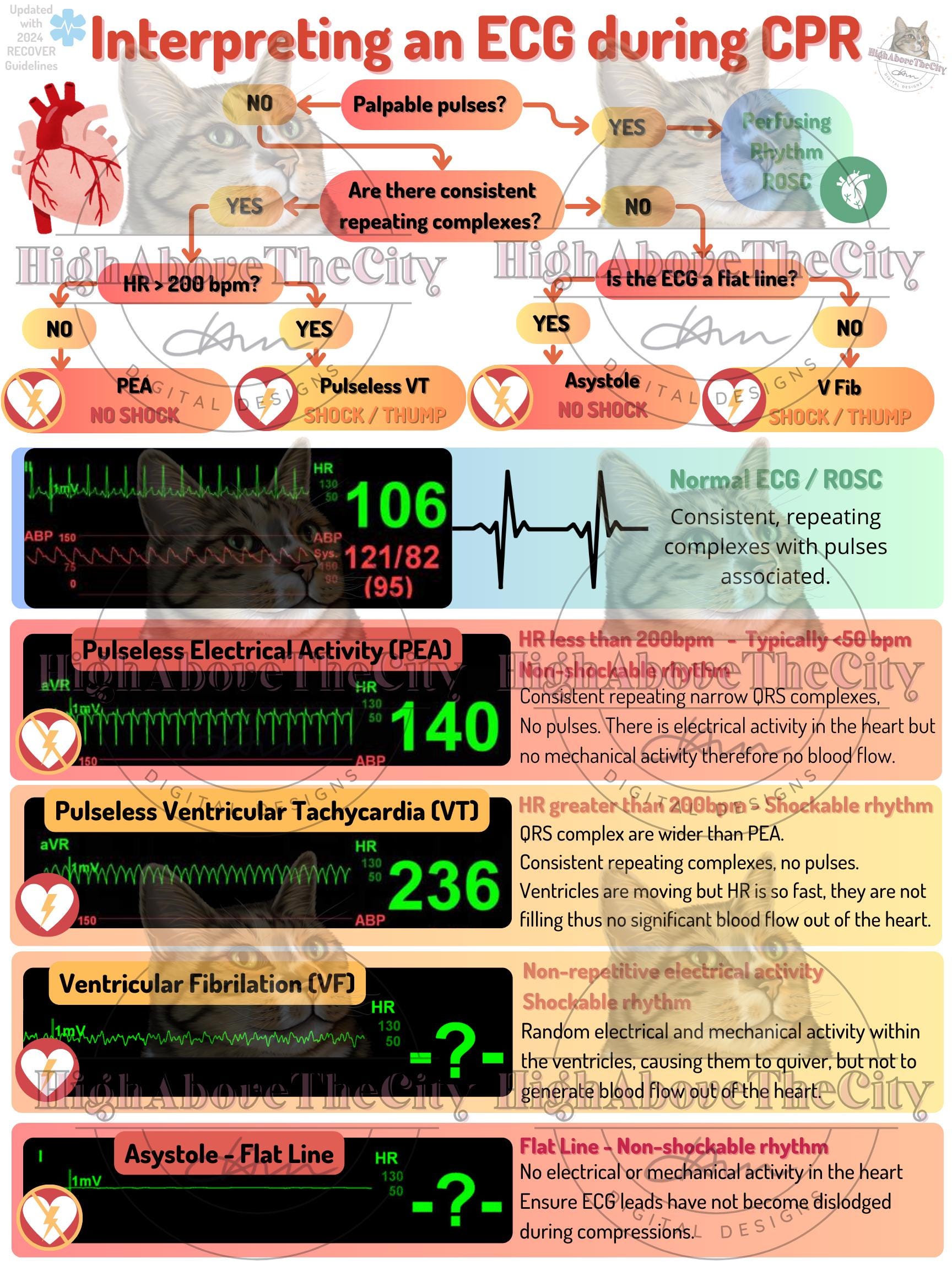 Printable Veterinary Emergency Medication and CPR Guide (updated 2024 ...
