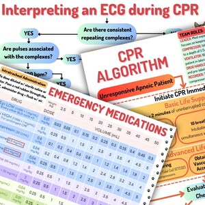 Printable Veterinary Emergency Medication and CPR Guide - Etsy