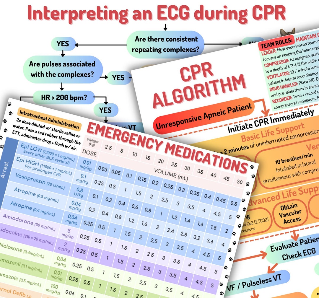 Guía imprimible de RCP y medicamentos de emergencia - Etsy México