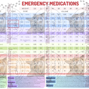 Veterinary Guide Bundle: Emergency Meds, CPR, Dental, Nutrition ...