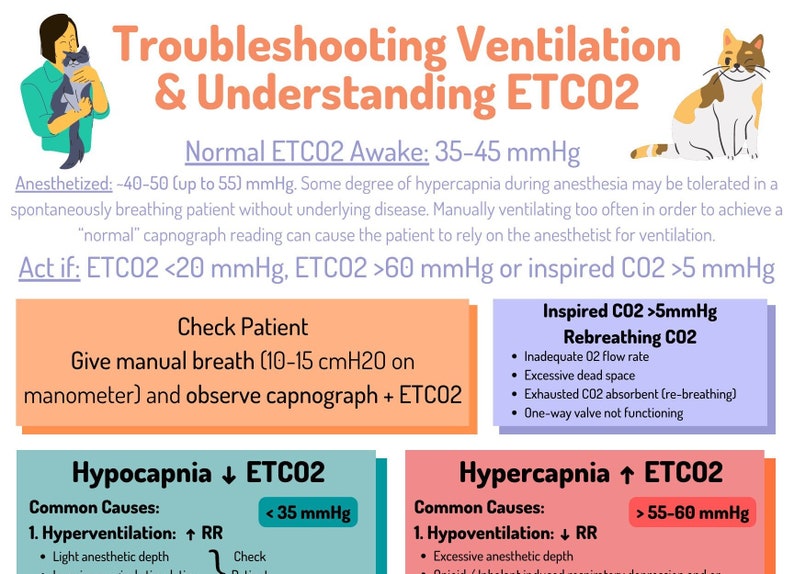 Printable Veterinary ETCO2 Capnography Guide - Etsy