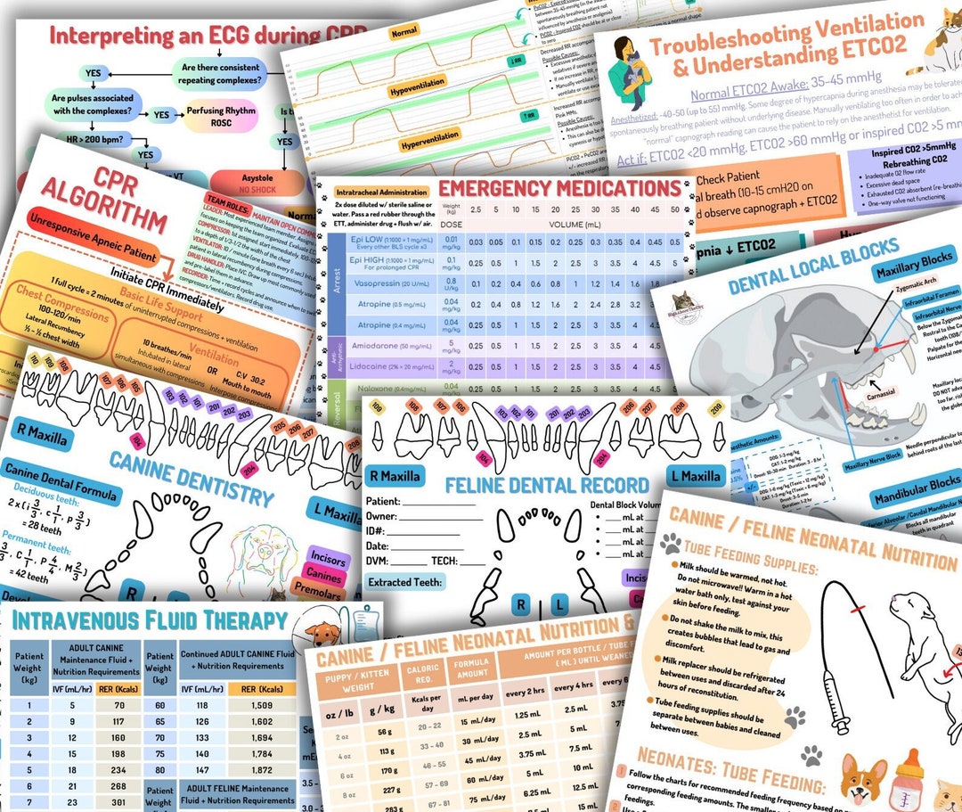 Veterinary Guide Bundle: Emergency Meds, CPR, Dental, Nutrition ...