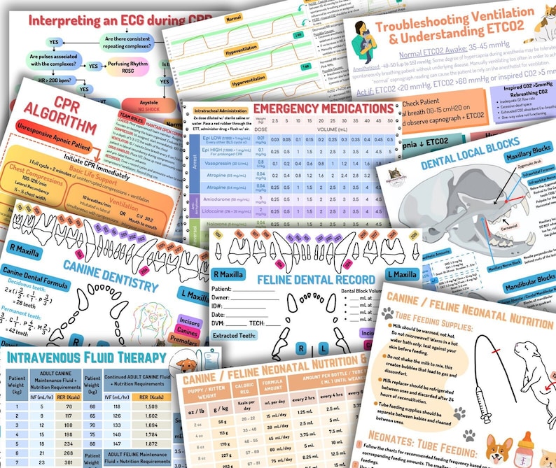 Veterinary Guide Bundle: Emergency Meds, CPR, Dental, Nutrition ...