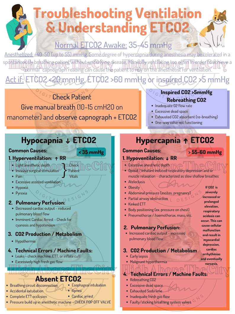 Printable Veterinary ETCO2 Capnography Guide - Etsy