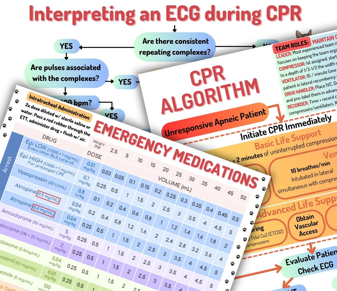 Printable Veterinary Emergency Medication and CPR Guide - Etsy