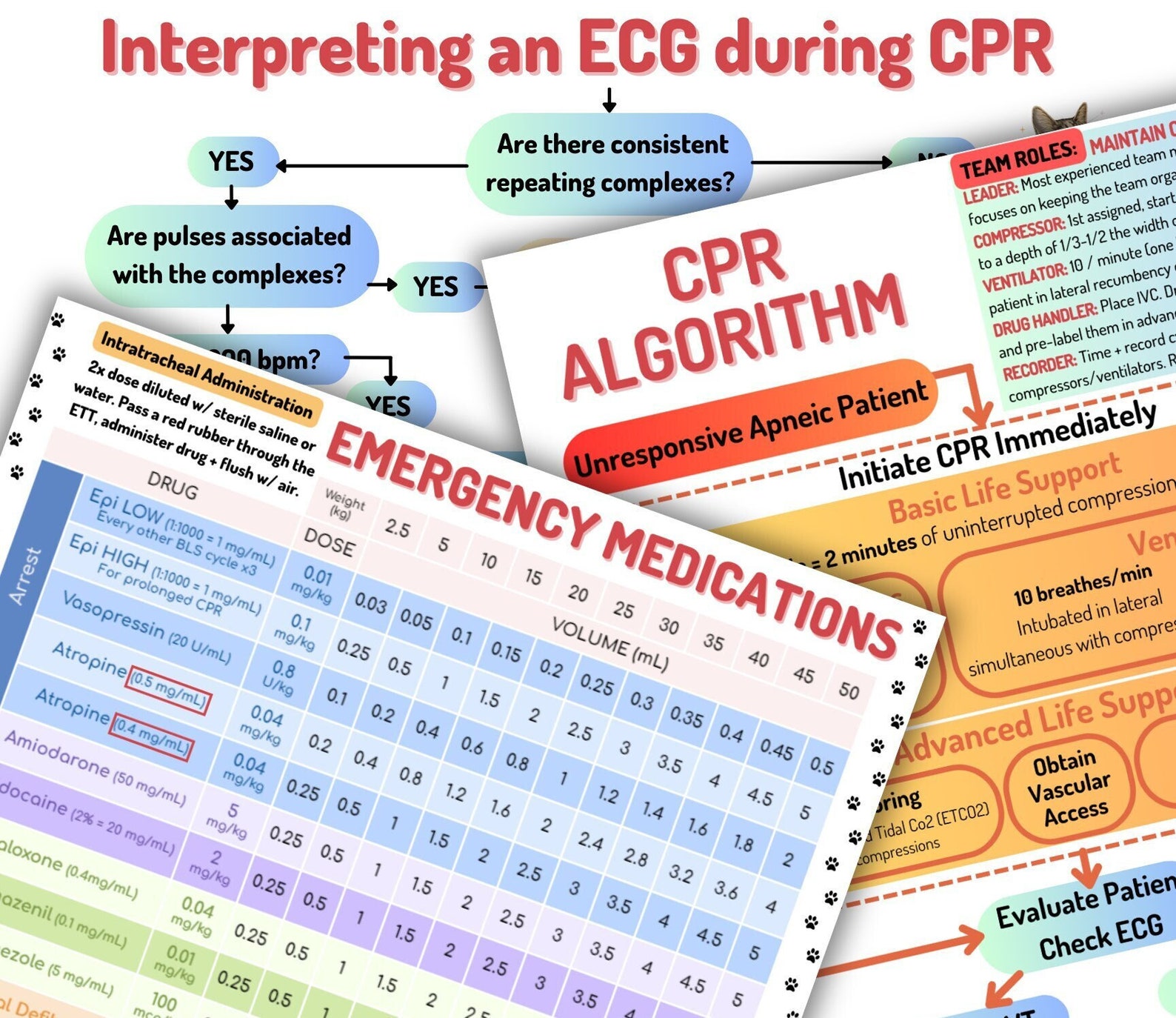 Printable Veterinary Emergency Medication and CPR Guide - Etsy