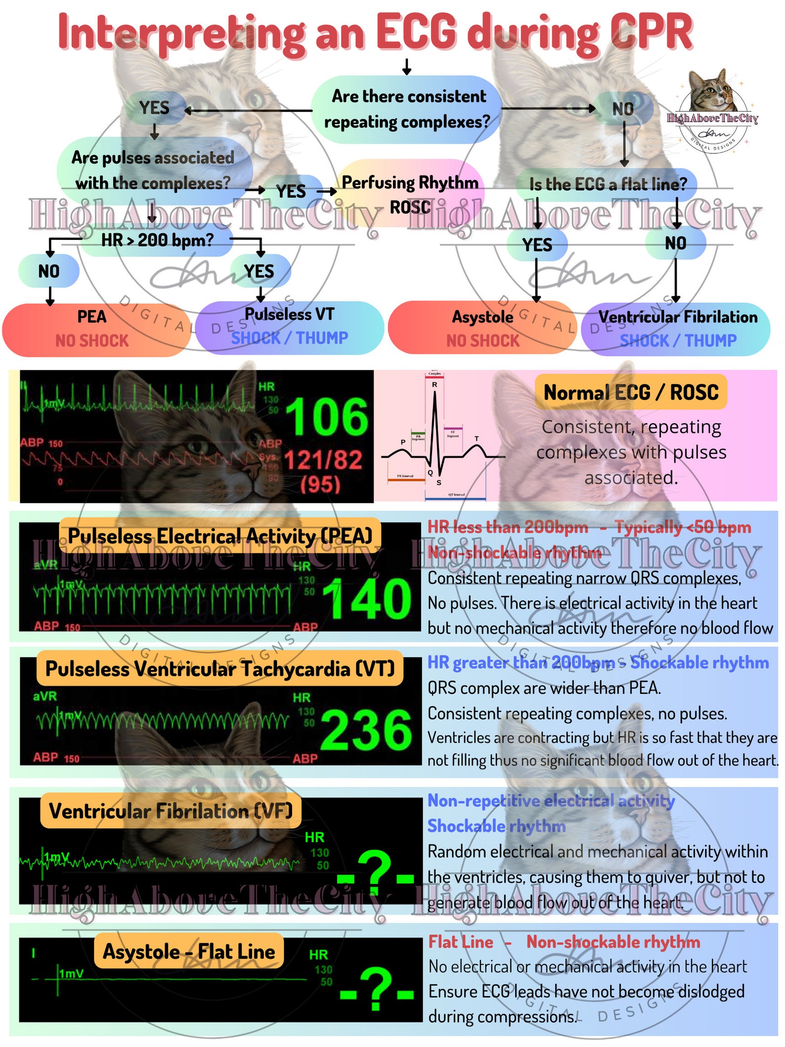 Printable Veterinary Emergency Medication and CPR Guide - Etsy
