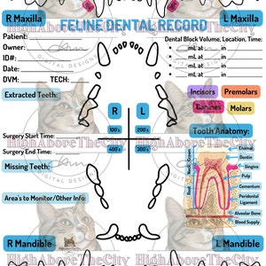 Printable Veterinary Dental Charts and Local Blocks Canine/feline - Etsy