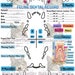 Printable Veterinary Dental Charts and Local Blocks Canine/feline - Etsy