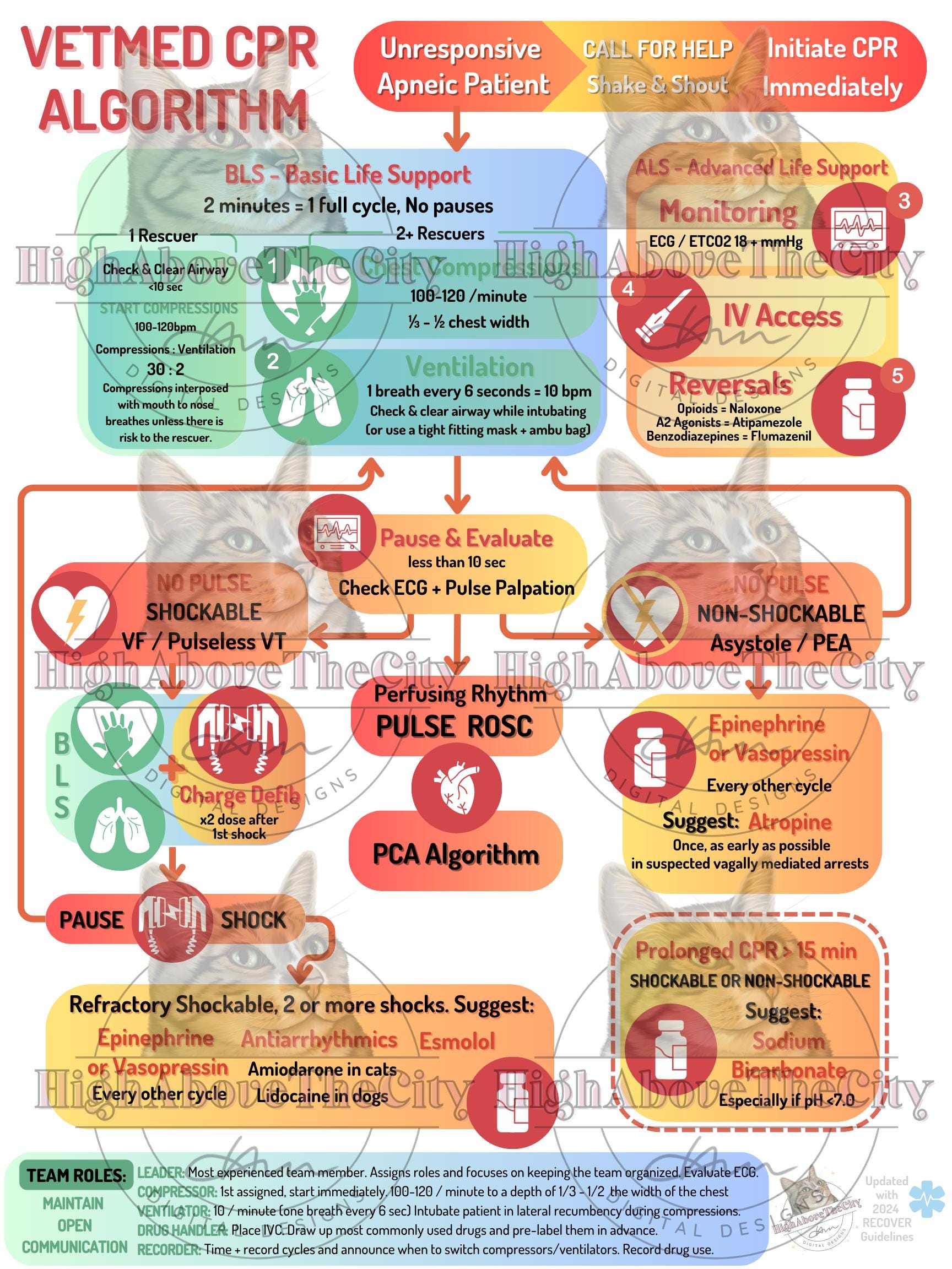 Printable Veterinary Emergency Medication and CPR Guide (updated 2024 ...