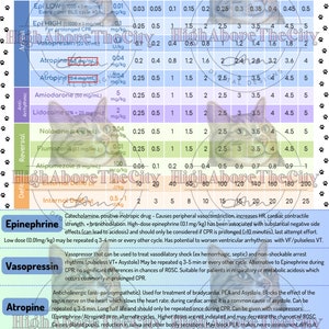 Printable Veterinary Emergency Medication and CPR Guide - Etsy