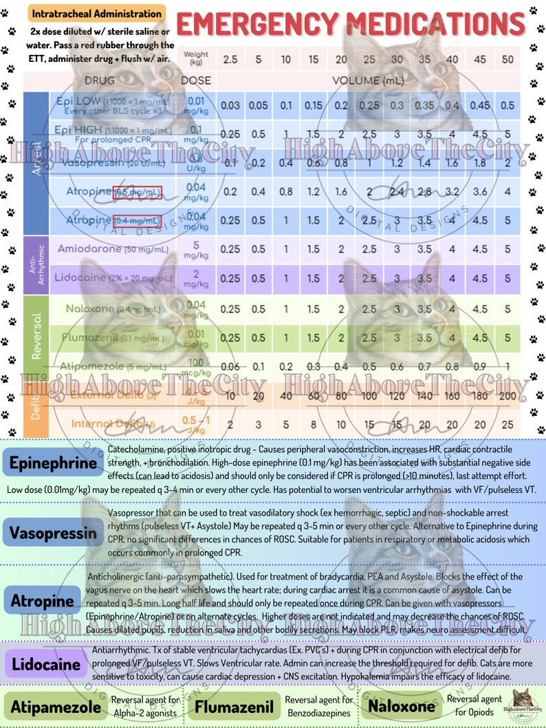 Printable Veterinary Emergency Medication and CPR Guide - Etsy